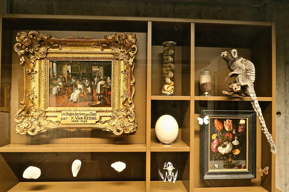 Musée prestigieux à Besançon : Celui des Beaux-Arts
