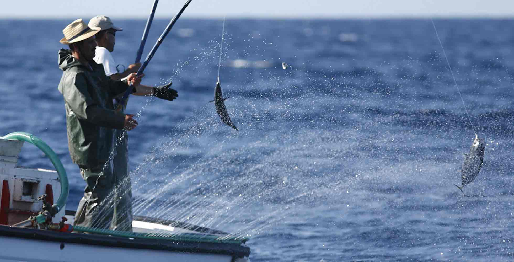 FISH 4 EVER : une pêche durable de qualité et éthique.