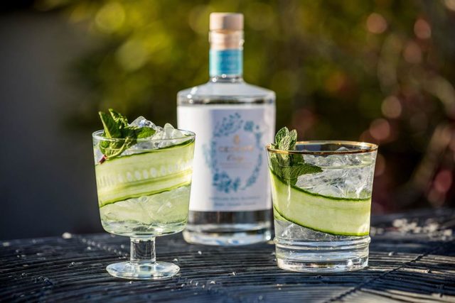 Wild de Ceder's : la saveur du Gin sans l'alcool pour se faire plaisir