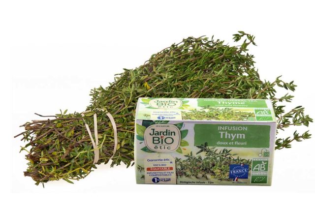 Infusion-thym - Dynamic Seniors