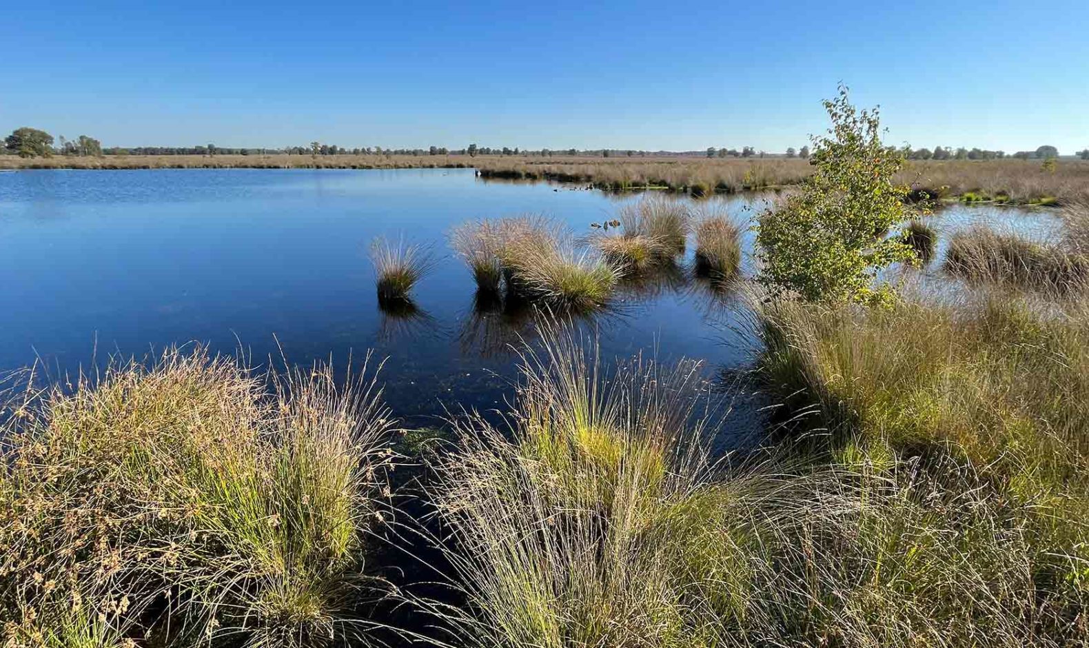 Drenthe : la découvrir dans les pas de Vincent van Gogh